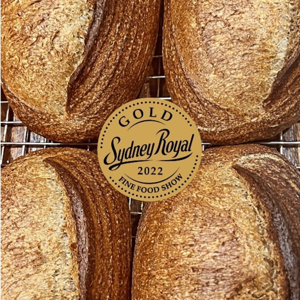 Sourdough – bonfirebread